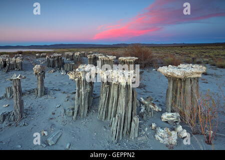 Sand Tufa, Navy Beach, Mono Lake, Eastern Sierra, CA, USA Stock Photo ...