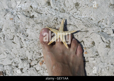 Starfish and the feet of man Stock Photo - Alamy