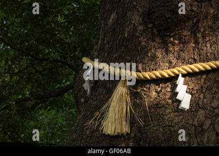 Folded paper symbols on a rope of rice straw bound around a mighty tree ...