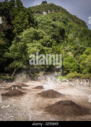 Cooking steam holes in Furnas - Cozido das Furnas: the Azores Islands ...