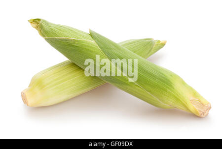 Closed ear of sweet corn isolated on white background with clipping ...