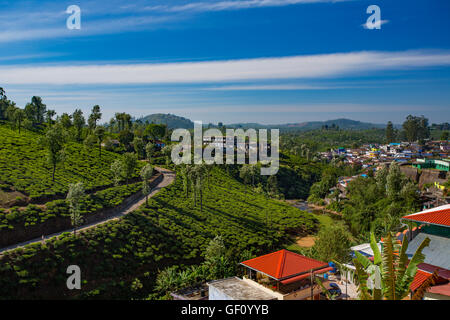 Valparai Tea Plantation (Tamil Nadu, India Stock Photo - Alamy
