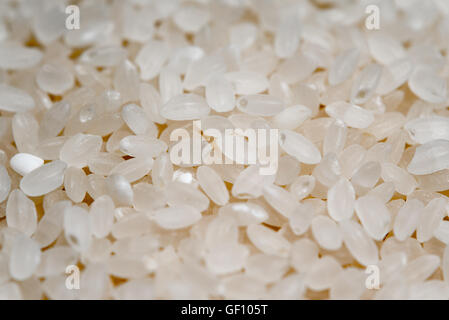 Macro shoot of rice Stock Photo - Alamy