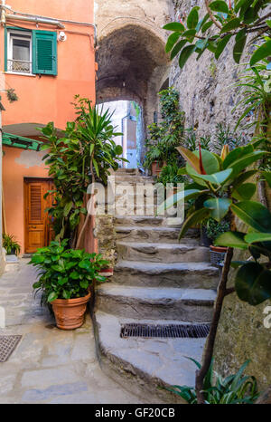 Alley with staircase in the village of La Motte-Chalancon, Drôme ...