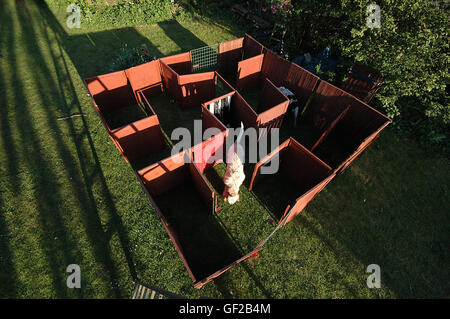 Dog Maze where dogs can train their ability to learn routes Stock Photo ...