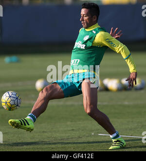 The player Lucas Barrios, the SE Palmeiras, during training, the ...