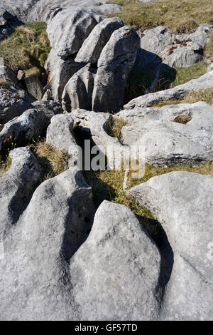 A doline or swallow-hole on limestone in Gran Sasso National Park ...