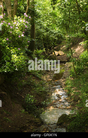 Small UK garden stream water feature Stock Photo - Alamy