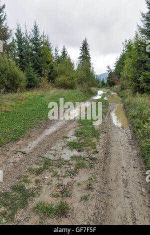 A rural Muddy road in the mountains high quality photo Stock Photo - Alamy