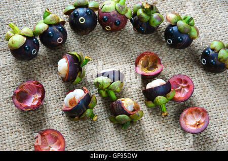 Amazing background with funny idea, impersonation, mangosteen with ...