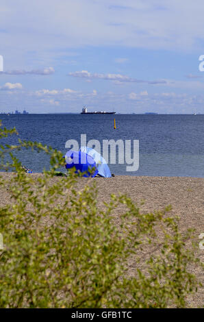 Kastrup, Denmark. 31st July, 2016. Life at Amamger strand park Amager ...