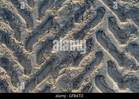 Excavator tracks on the ground texture. Mud ground earth soil trace ...