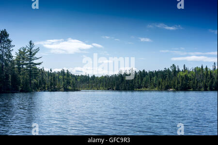 contryside ontario canada nature sunny day on the lake Stock Photo - Alamy