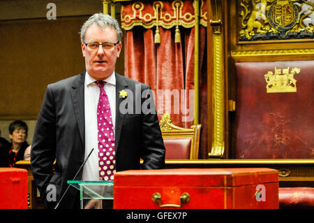 Northern Ireland Assembly Senate Chamber, Parliament Buildings ...