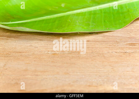 Green banana leaf on color background Stock Photo - Alamy