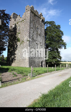 A castle in Ireland in the County of Kilkenny situated on the River ...