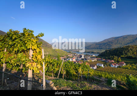 Spitz an der Donau: view to Spitz and Danube, vineyard, Wachau ...