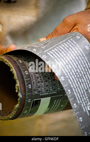 Close up hands measuring the diameter of the trunk of a tree in the ...