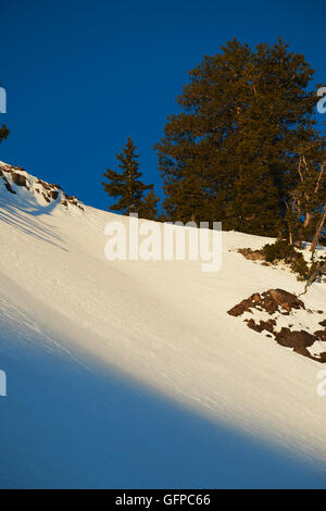 Snow like Salt Stock Photo - Alamy