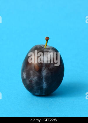 Single ripe prune, or plum on a pink background Stock Photo - Alamy