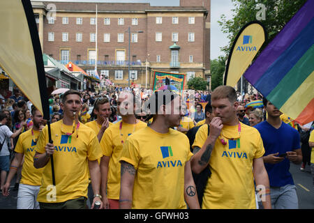 Aviva workers, Norwich Pride 30 July 2016 UK Stock Photo - Alamy