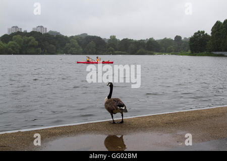 London,UK. 2nd August 2016. Sailing dinghies take to the water on ...