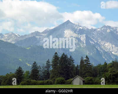 Garmisch-Partenkirchen, Germany. 18th July, 2018. Cows graze on the ...