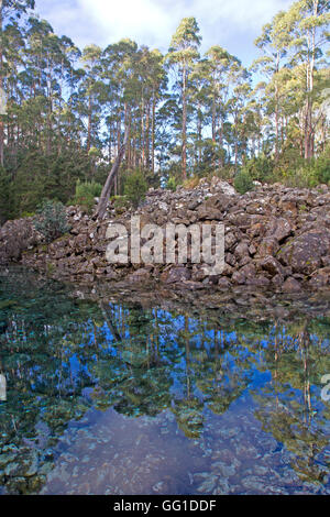 Disappearing Tarn on kunanyi/Mt Wellington Stock Photo - Alamy