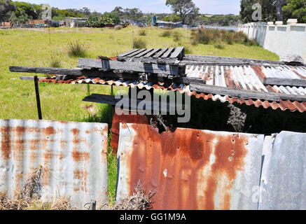 A rusty old corrugated metal shack Stock Photo - Alamy