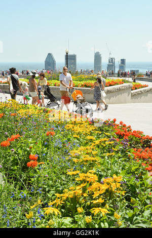 Mount Royal (Mont Royal) Park viewpoint in summer, Montreal, Quebec ...