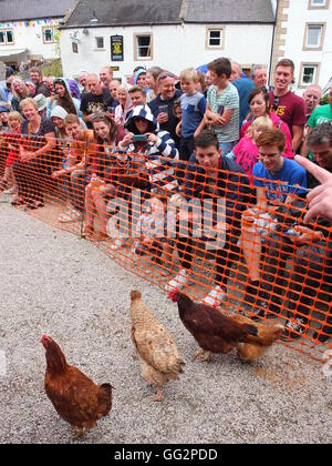 Annual World Hen Racing Championship held on August 4th 2012 at the ...