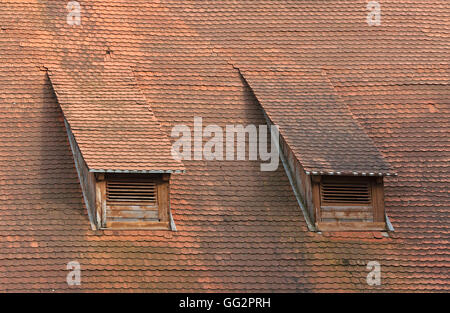 Weathered red tiled roof with dormer window Stock Photo - Alamy
