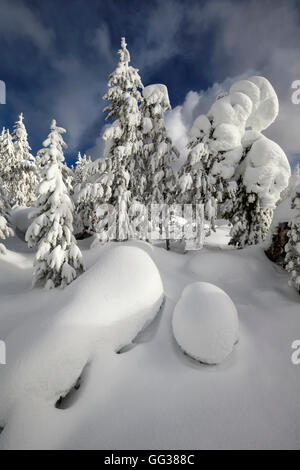 Beautiful winter scene in Yellowstone National Park, Wyoming, USA Stock ...