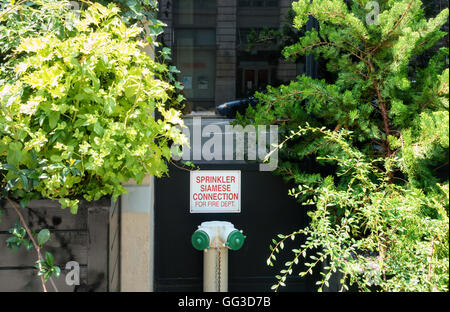 New York City, Siamese hydrant, Siamese connection, fire department ...