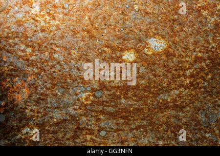 very rusty metal plate occupying the entire picture Stock Photo - Alamy