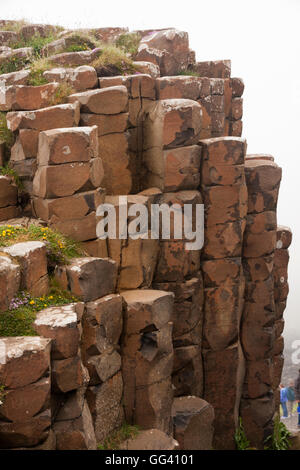 Giant's Causeway Moyle Northern Ireland Stock Photo - Alamy