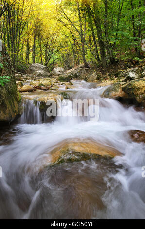 Spring rill flow. Nature composition Stock Photo - Alamy