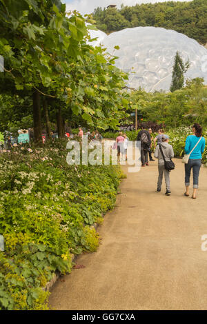 the glass biomes at the eden project in cornwall,england Stock Photo ...