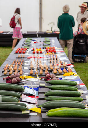 The vegetable show at the New Forest and Hampshire County Show in July ...