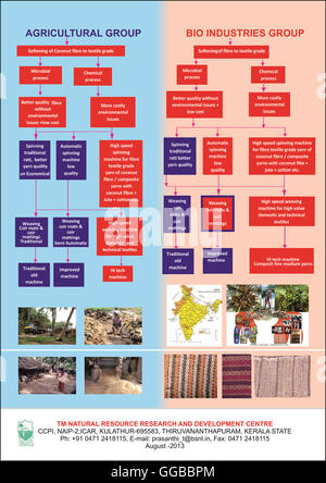 Value chain analysis for coconut fibre production and coir industry ...