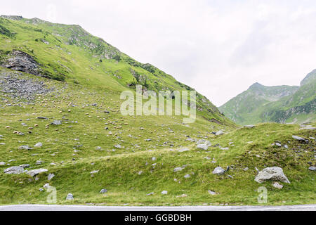 Photo of green capra peak, and a field full of sheeps grazing in ...