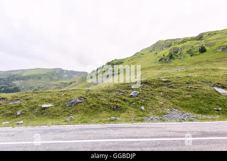 Photo of green capra peak, a road and a small river in fagaras ...