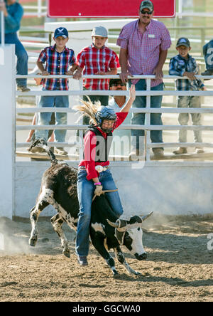 Young cowgirl riding a small bull in the Junior Steer Riding ...