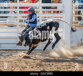 Young cowgirl riding a small bull in the Junior Steer Riding ...