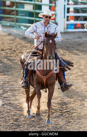 Cowboy on horseback at Rodeo roping calf Stock Photo - Alamy