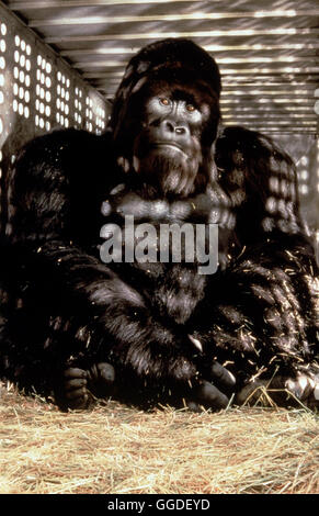 MEIN GROßER FREUND JOE / Mighty Joe Young USA 1998 / Ron Underwood ...