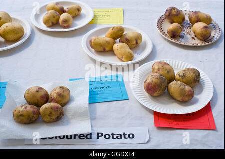 prize winning potatoes at vegetable show Stock Photo - Alamy