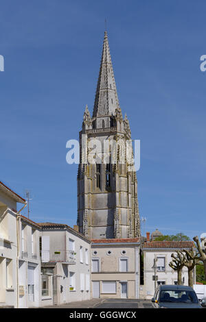 France, Charente Maritime, Marennes town, the Saint Pierre de Sales ...