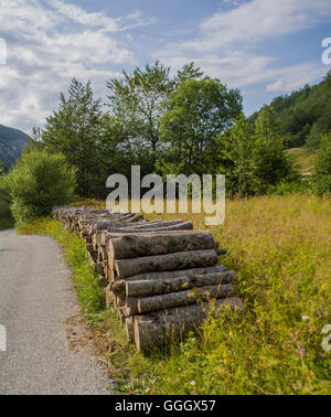 Camp Fire Stack Stock Photo - Alamy