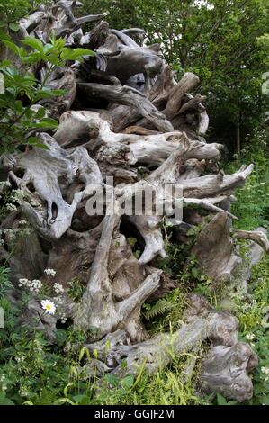 Stumpery- - Please credit: Photos Hort/designers Marney Hall & Heather ...